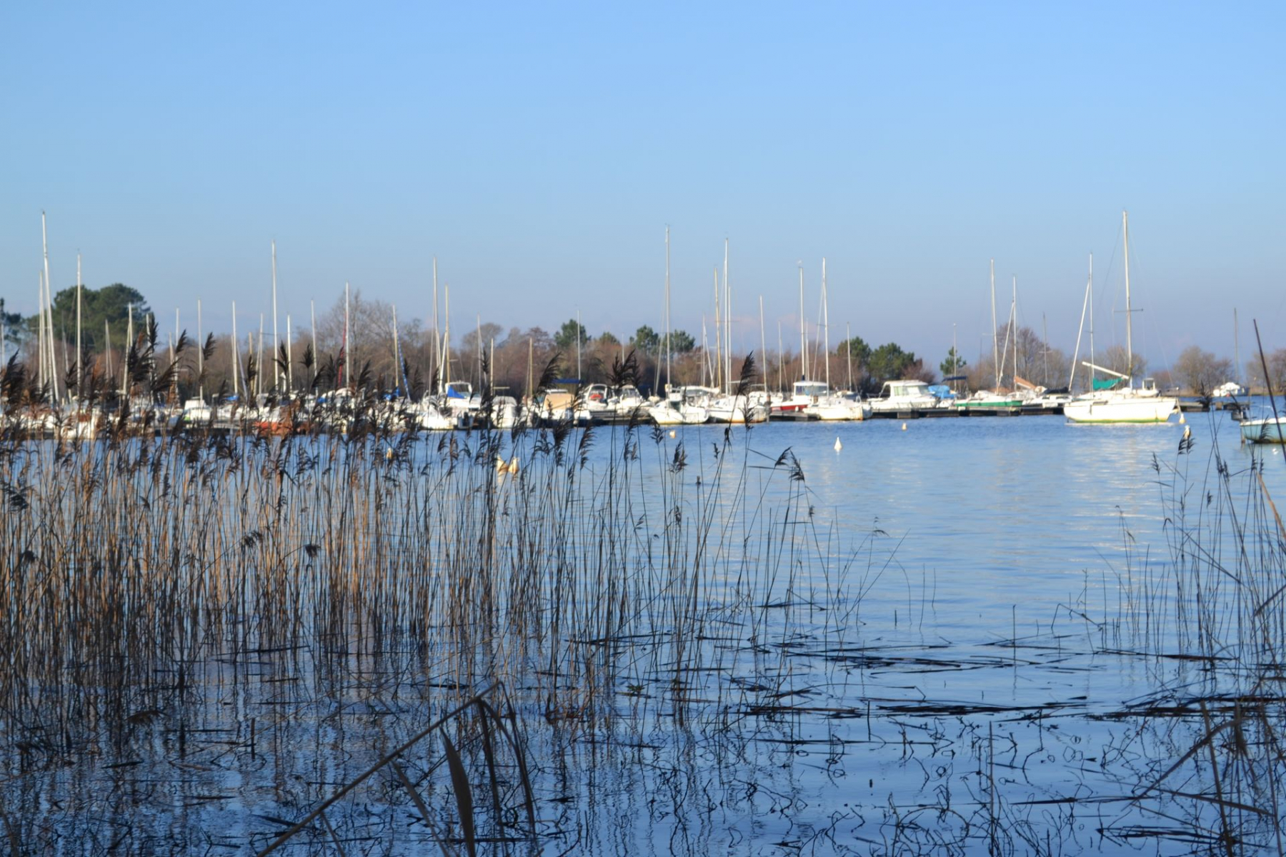 Mairie de Sanguinet - Site officiel de la commune de Sanguinet